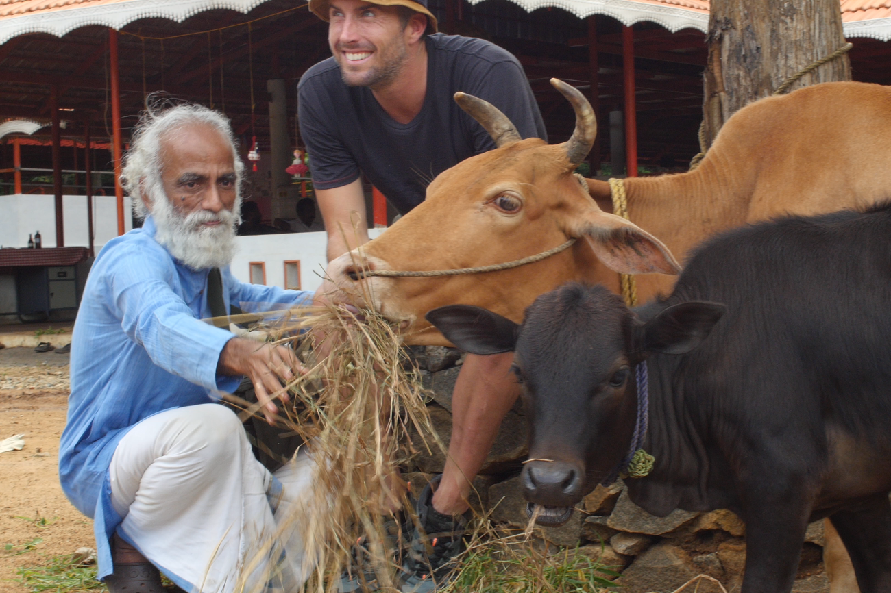 Not all ghee is created equal